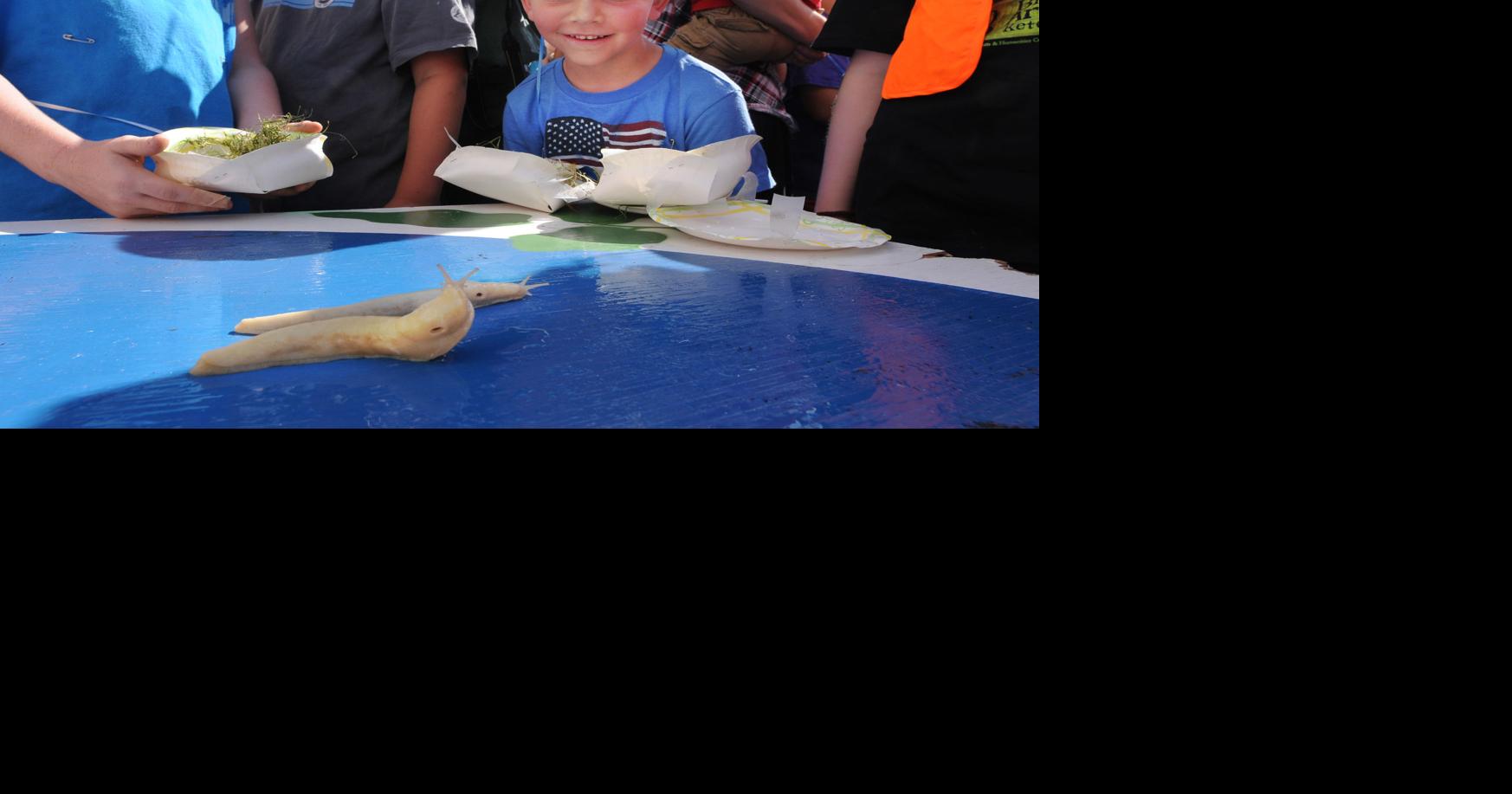 A time for pies, slugs and sunshine | Local News | ketchikandailynews.com