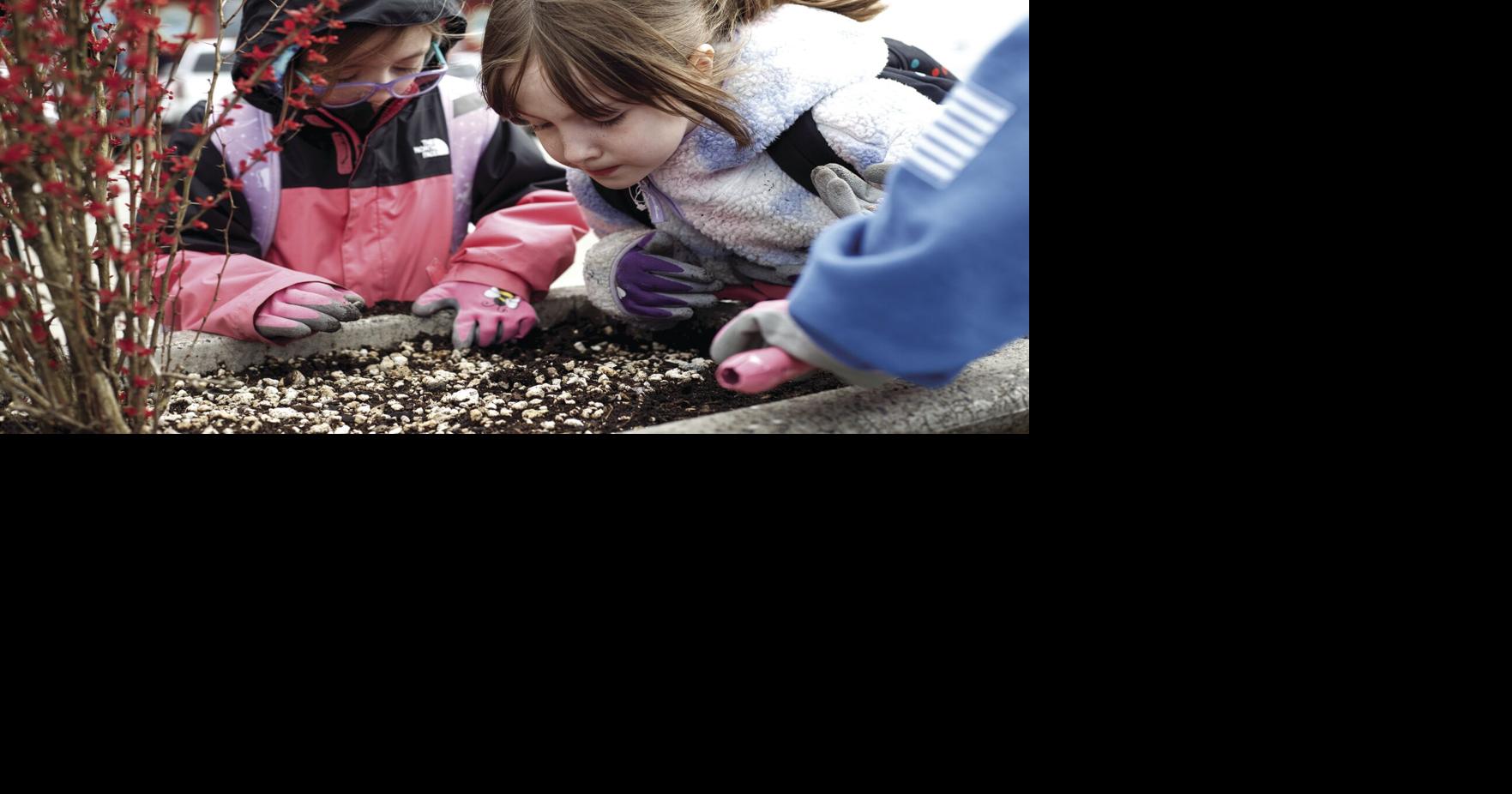 Elementary students flex flower powers on the port | Education ...