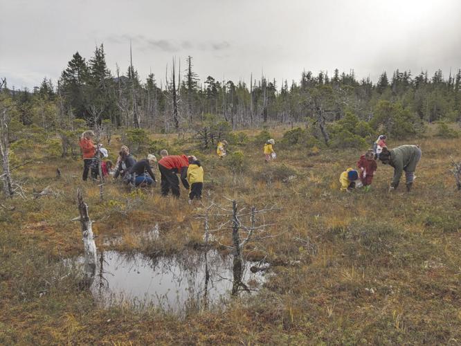 Preschoolers enjoy berry field trip and jam-making | Education ...