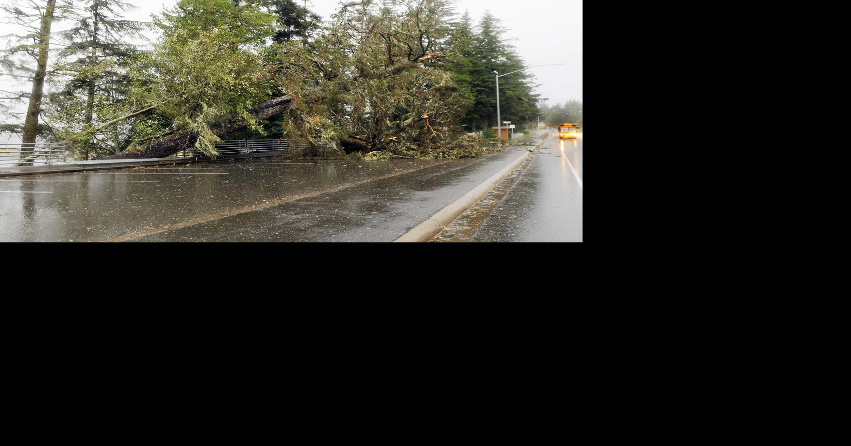 Fall arrives | Local News | ketchikandailynews.com