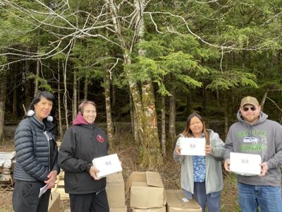 Tlingit & Haida distributes herring eggs in Saxman | Local News ...