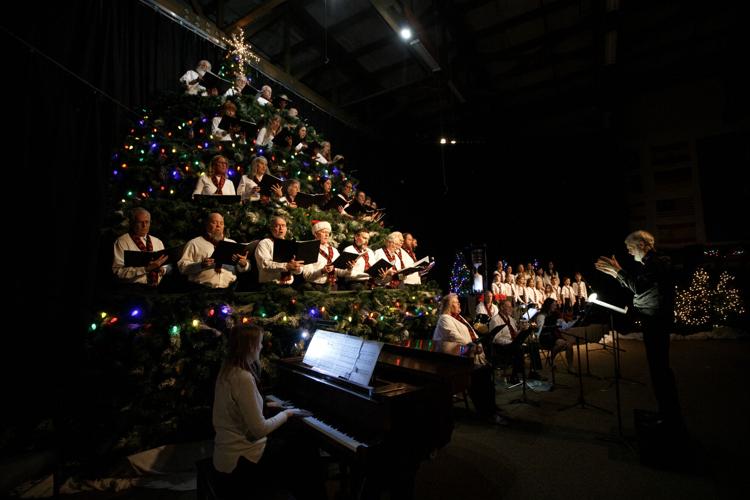 Singing Christmas Tree opens Friday evening | Scene ...