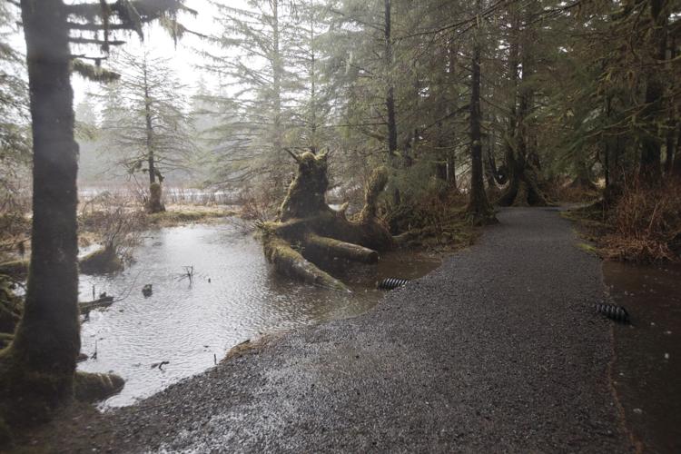 Public input sought on Forest Service proposals for Ward Lake ...