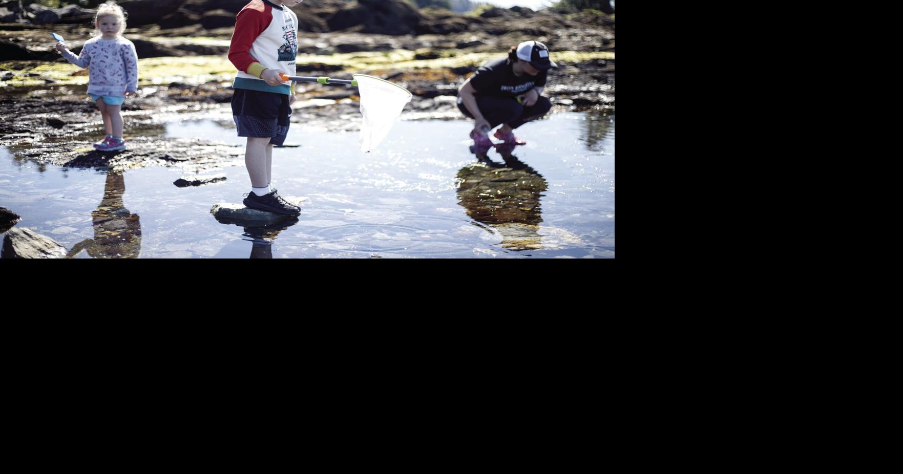 Tide pool fishing | Photos | ketchikandailynews.com