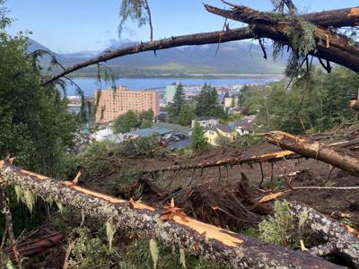 One month after: Officials anticipating reports on landslide factors ...