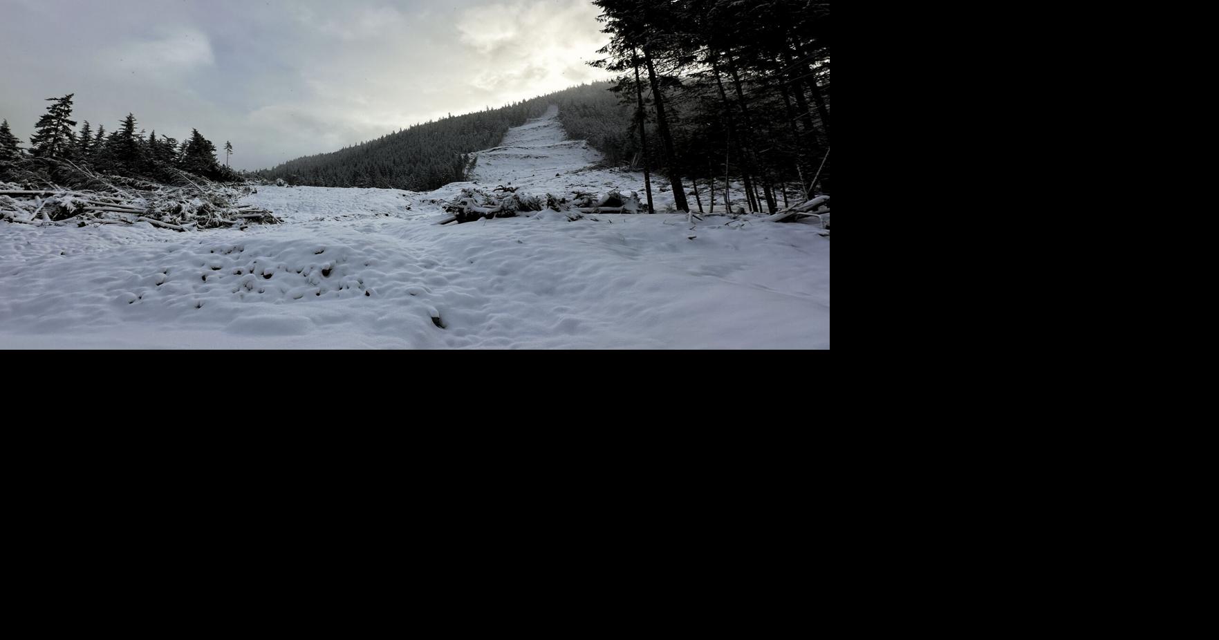Alaska Landslide-Climate Change Wrangell February | Photos ...