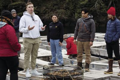 Oyster hatchery interns visit OceansAlaska, Hump Island Oyster Co ...