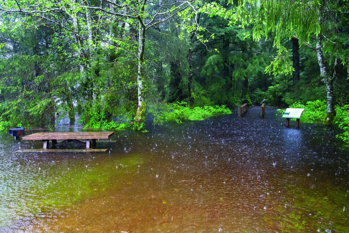 Ketchikan breaks record for May rain | Local News | ketchikandailynews.com