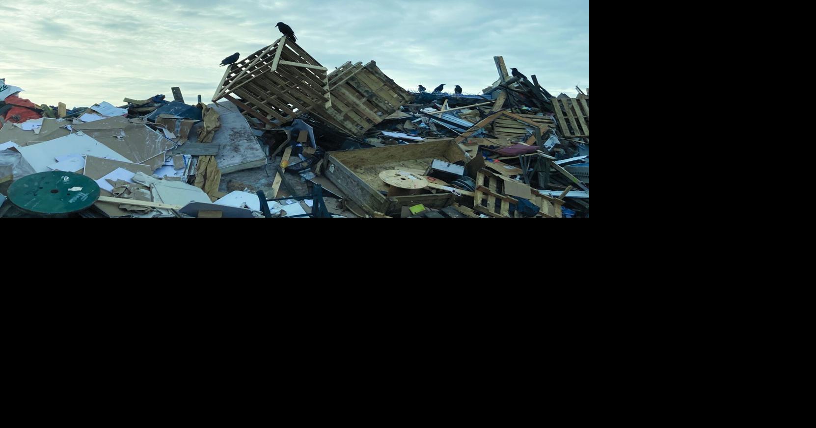 Lords of the Landfill | Photos | ketchikandailynews.com