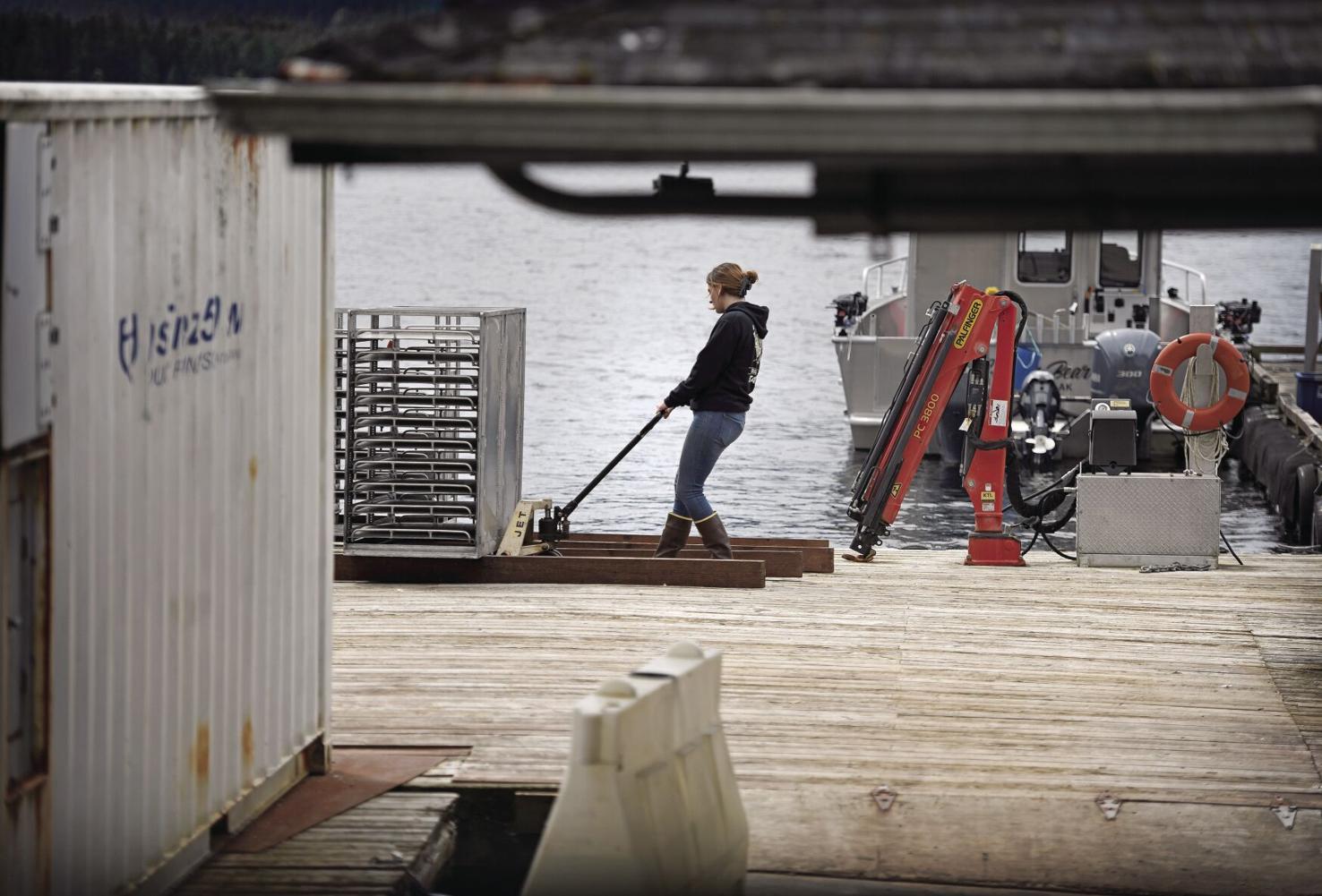 DOCK WORK | Photos | ketchikandailynews.com