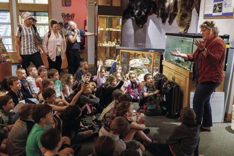 Pt. Higgins students release salmon fry at Discovery Center | Education ...