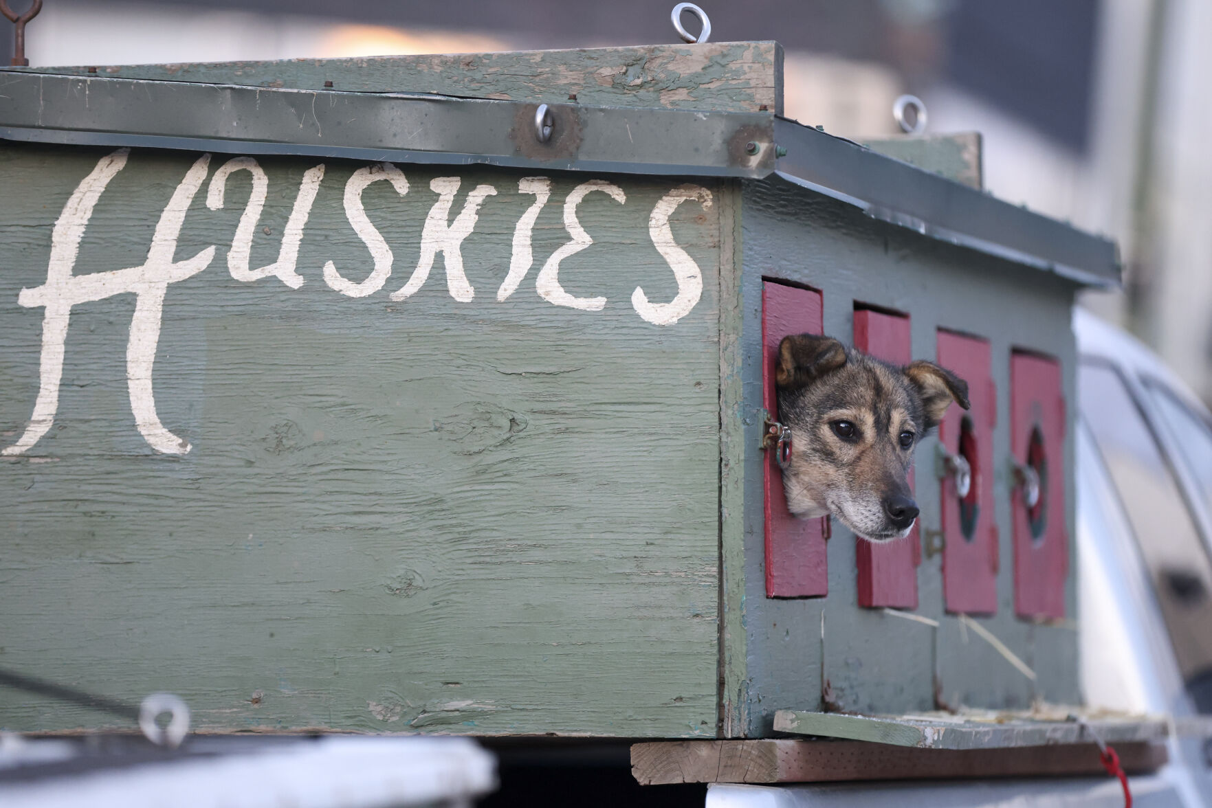 The world's most famous sled dog race is longer than ever. Here's a ...