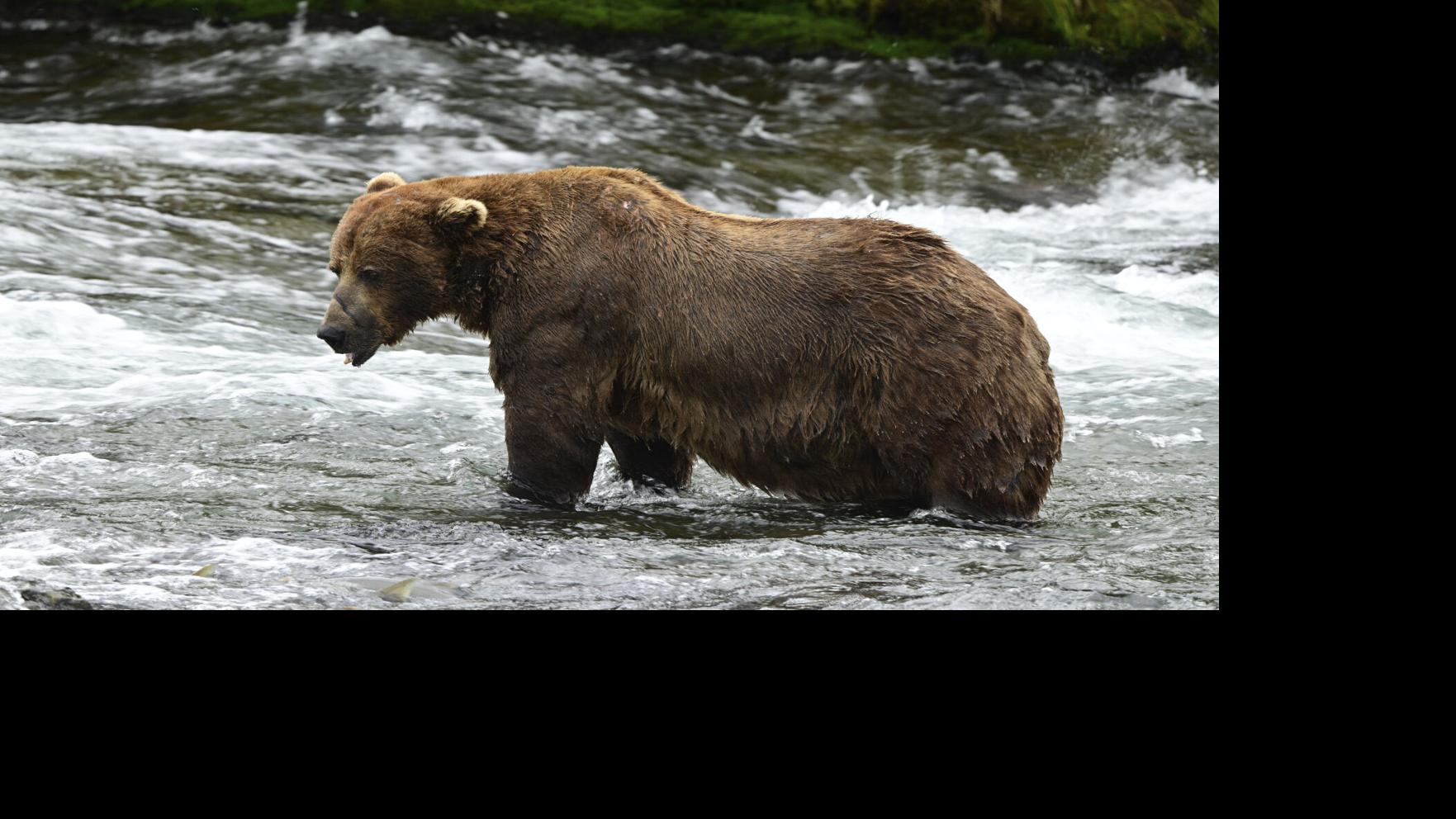 Alaska | ketchikandailynews.com