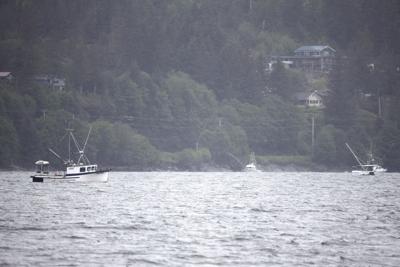 Trollers’ king salmon catch limit for 1st summer opening set | Local ...