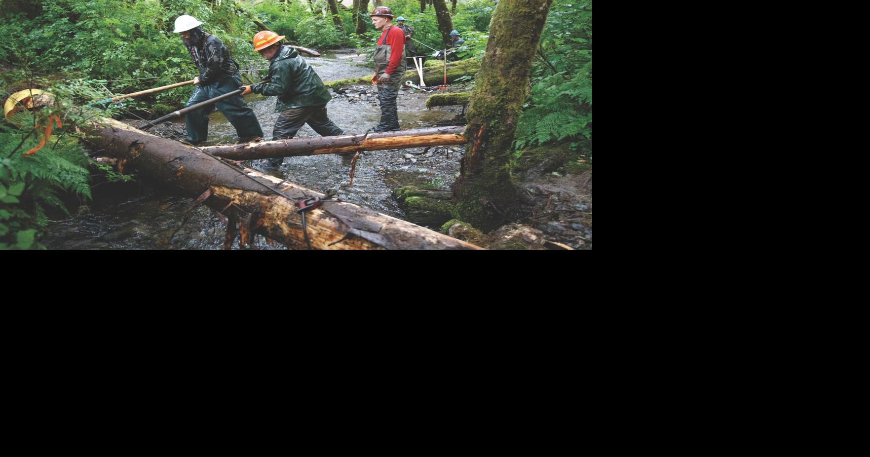 Stream restoration first of many USFS Ward Lake projects slated under ...