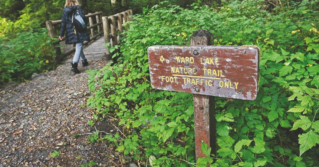 Ward Lake trail set for renovations: USFS project seeks to combat ...