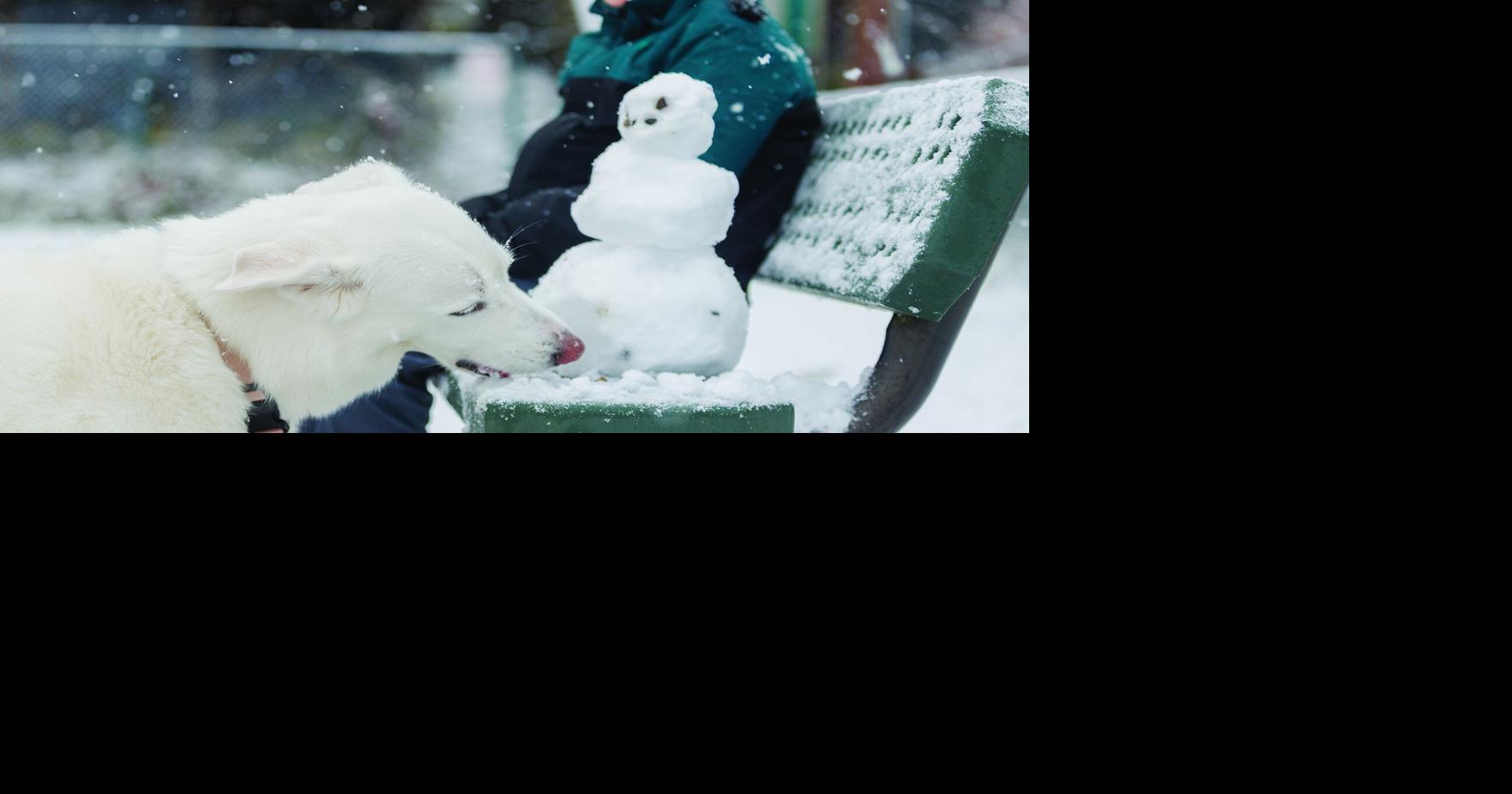 Snow arrives | Photos | ketchikandailynews.com