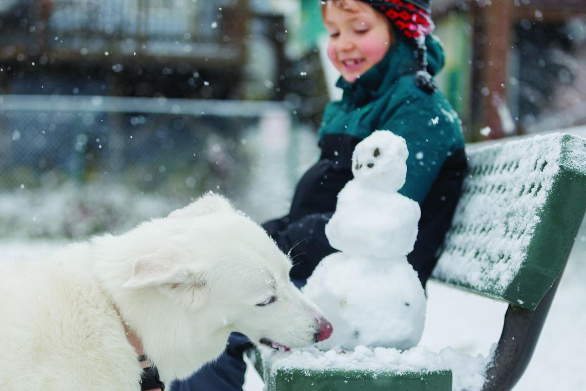 Snow arrives | Photos | ketchikandailynews.com