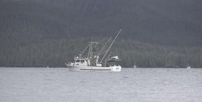 Federal judge's order imperils Southeast Alaska commercial troll ...