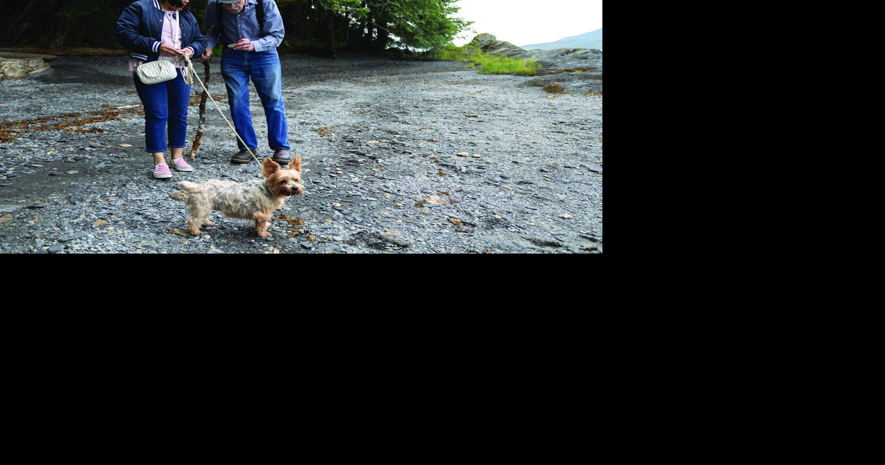 On the Beach | Photos | ketchikandailynews.com