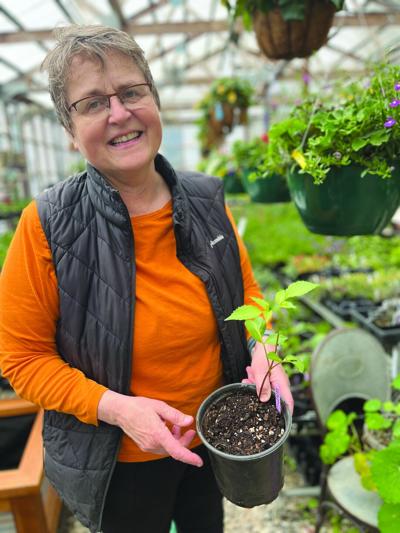 Agnes Moran, now retired, reflects on trial and triumph at WISH | Local ...