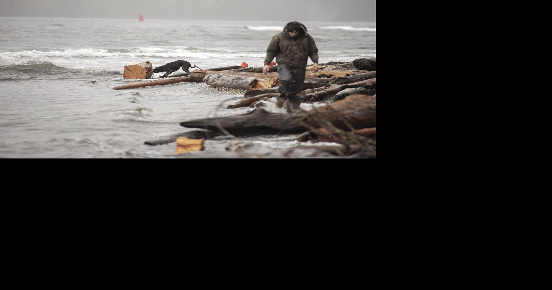 DOG AMONG LOGS | Photos | ketchikandailynews.com