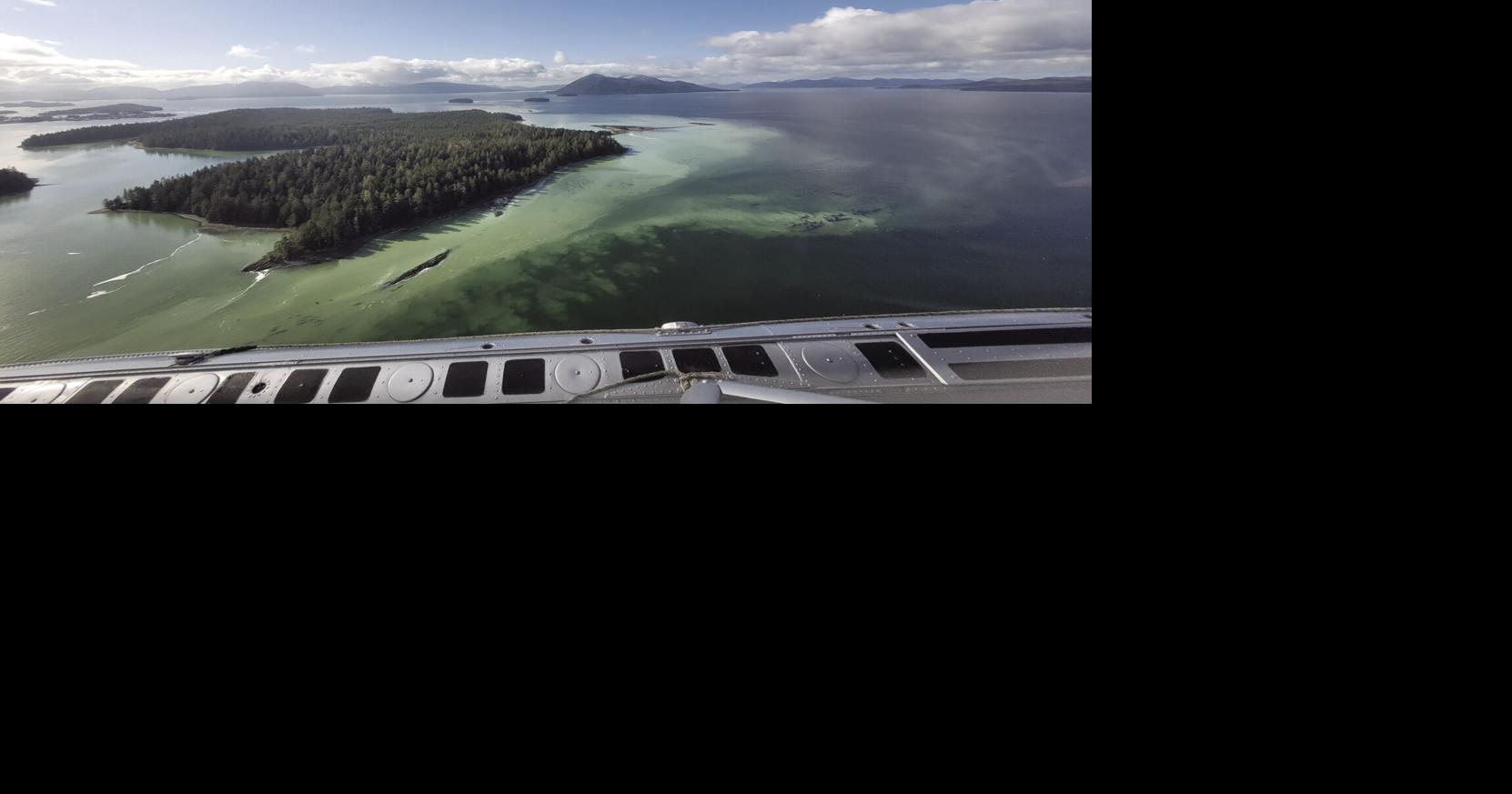 Craig/Klawock commercial herring spawn-on-kelp fishery wraps after ...