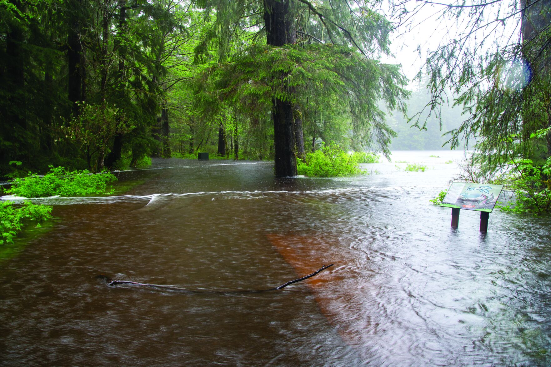 Ketchikan breaks record for May rain | Local News | ketchikandailynews.com