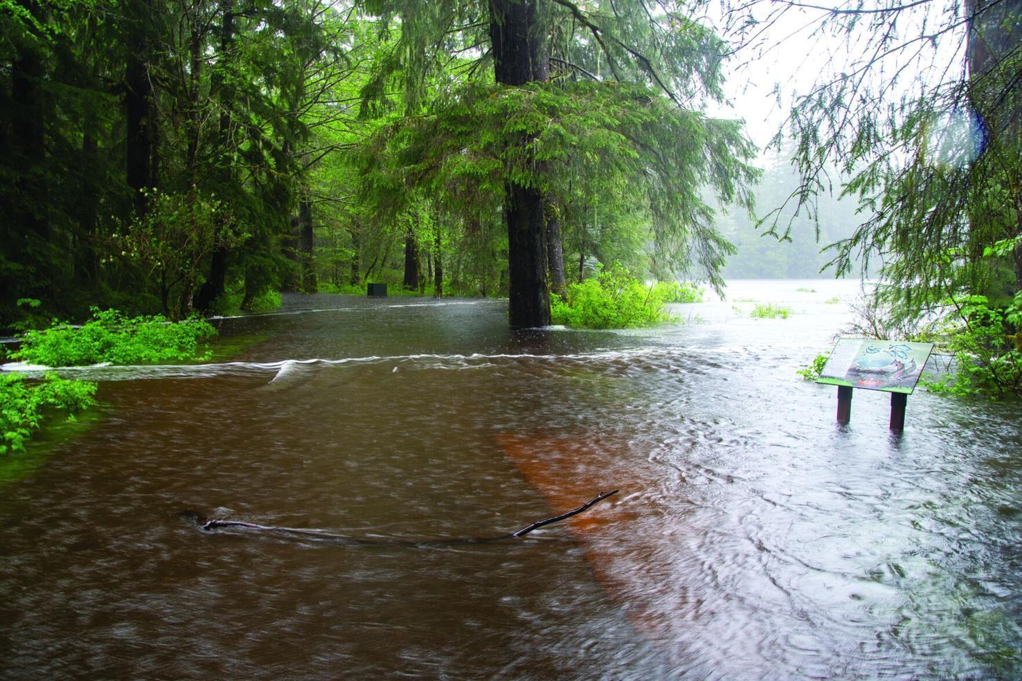 Ketchikan breaks record for May rain | Local News | ketchikandailynews.com