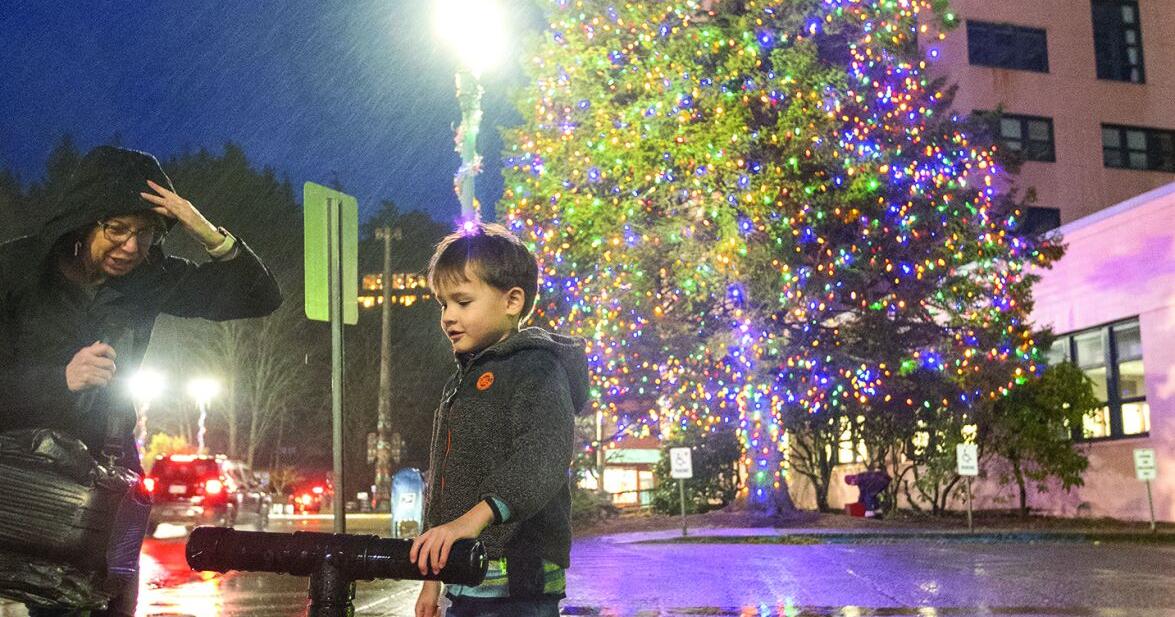 Ketchikan lights its christmas tree | Photos | ketchikandailynews.com