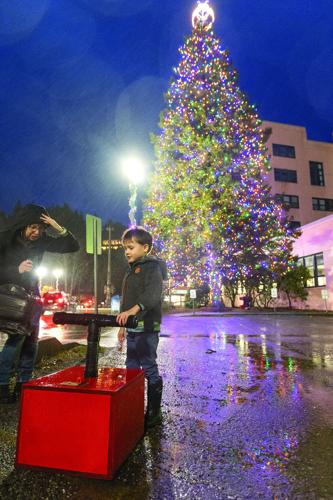 Ketchikan lights its christmas tree | Photos | ketchikandailynews.com