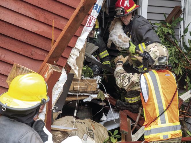 Two pet dogs rescued from collapsed residence one week after landslide ...