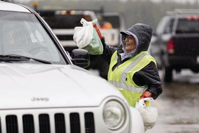 KIC distributes herring eggs on kelp to tribal members | Local News ...