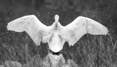 Don Twyman's Alaska photo sampler on exhibit at SE Discovery Center ...