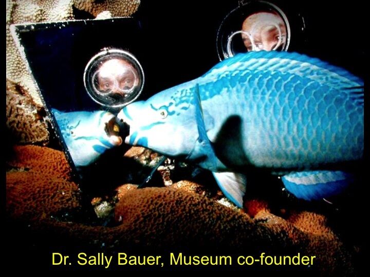 Sally Bauer dives into history | Local News | keysnews.com