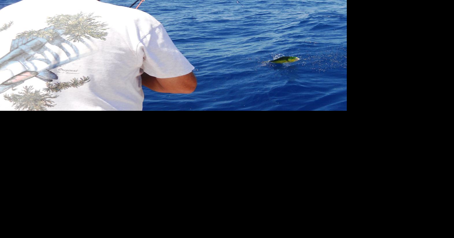 Rembering a first: Catching mahi-mahi on fly | Columns | keysnews.com
