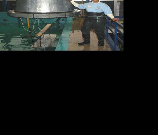 Sally Bauer dives into history | Local News | keysnews.com