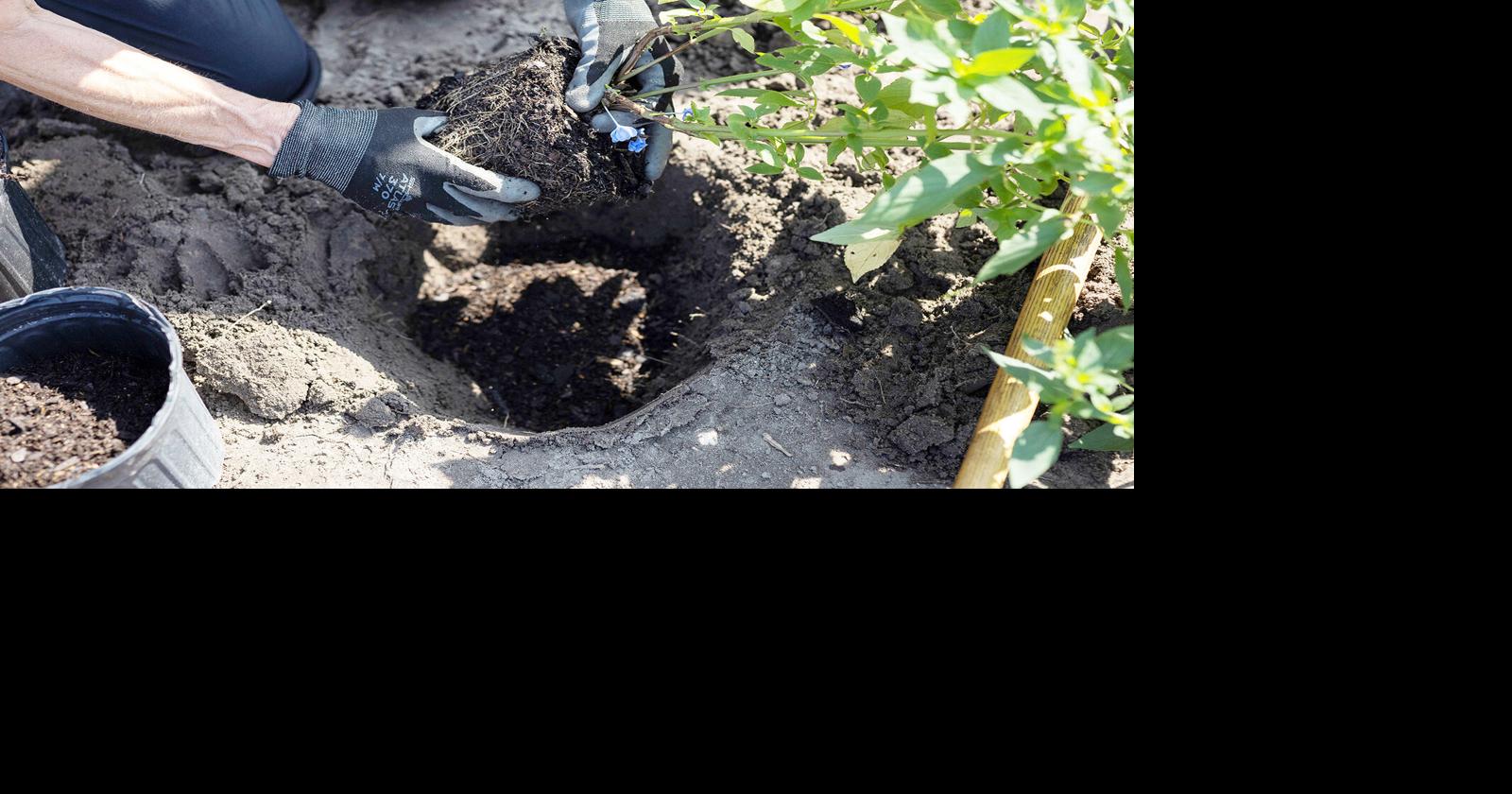 Horticulture management certificate program offered | Features ...