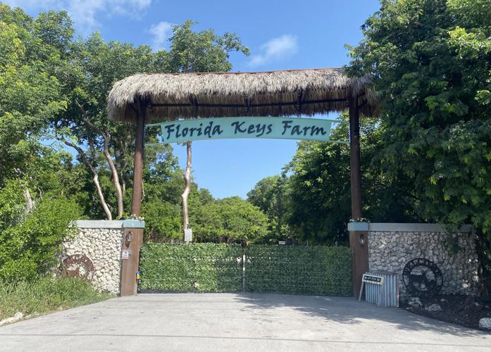 Tavernier farm receives favorable court ruling | County | keysnews.com