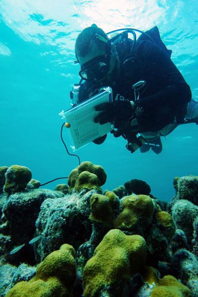 CFK speaker series features coral talk | Mile Markers | keysnews.com