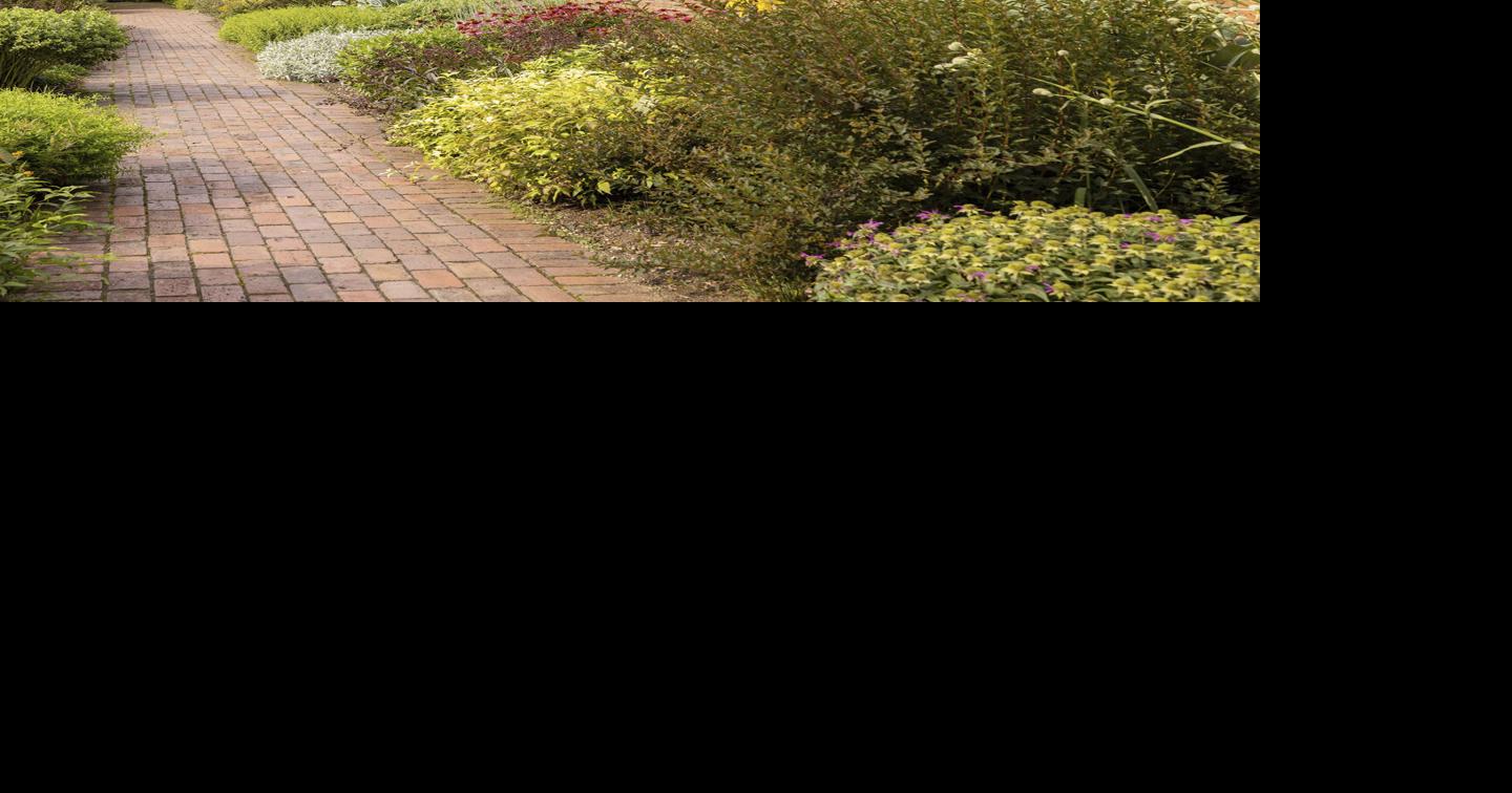 A tidy native-plant garden | Keys Homes | keysnews.com