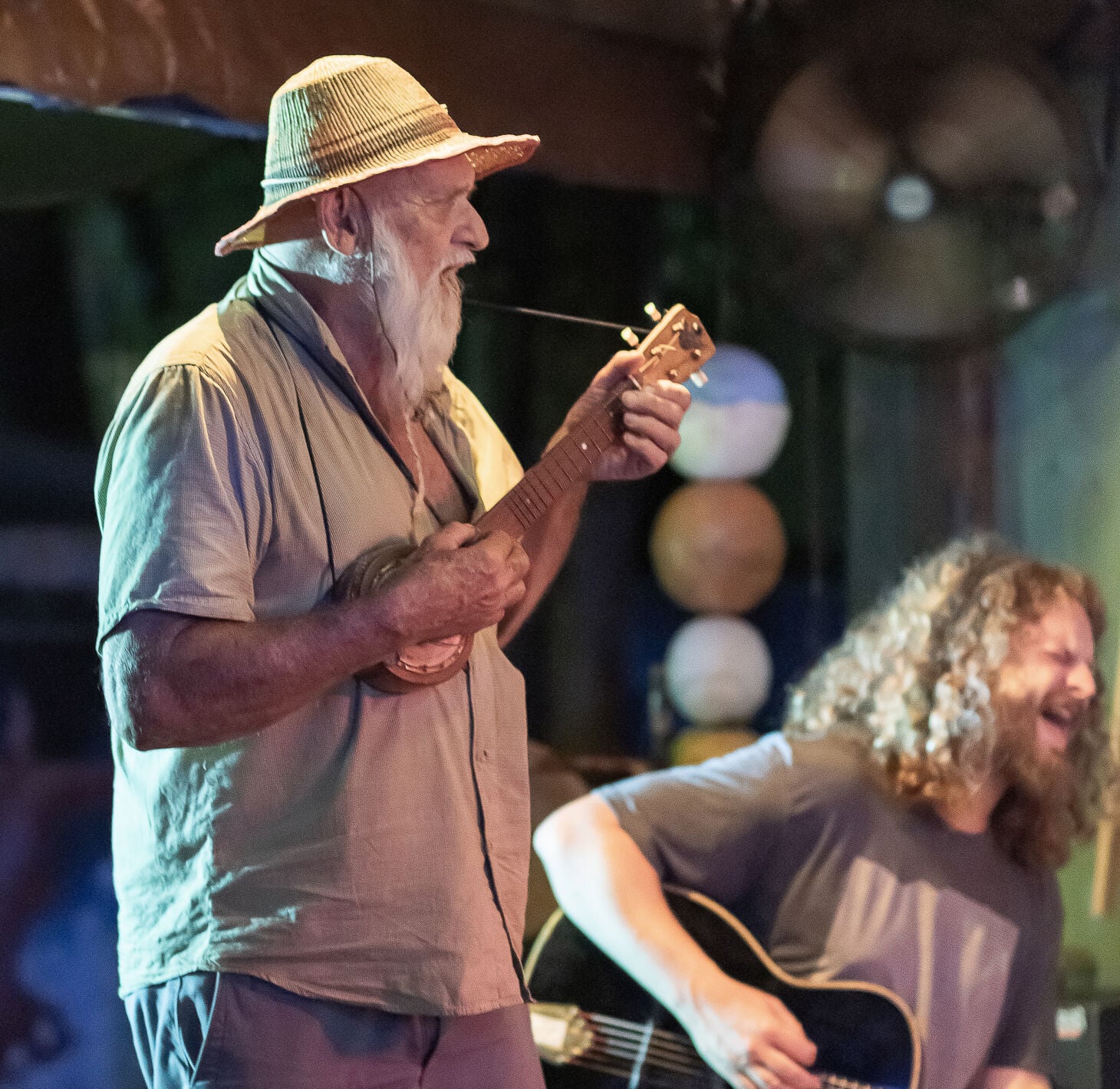 Fifty years of Dave Wegman | Paradise | keysnews.com
