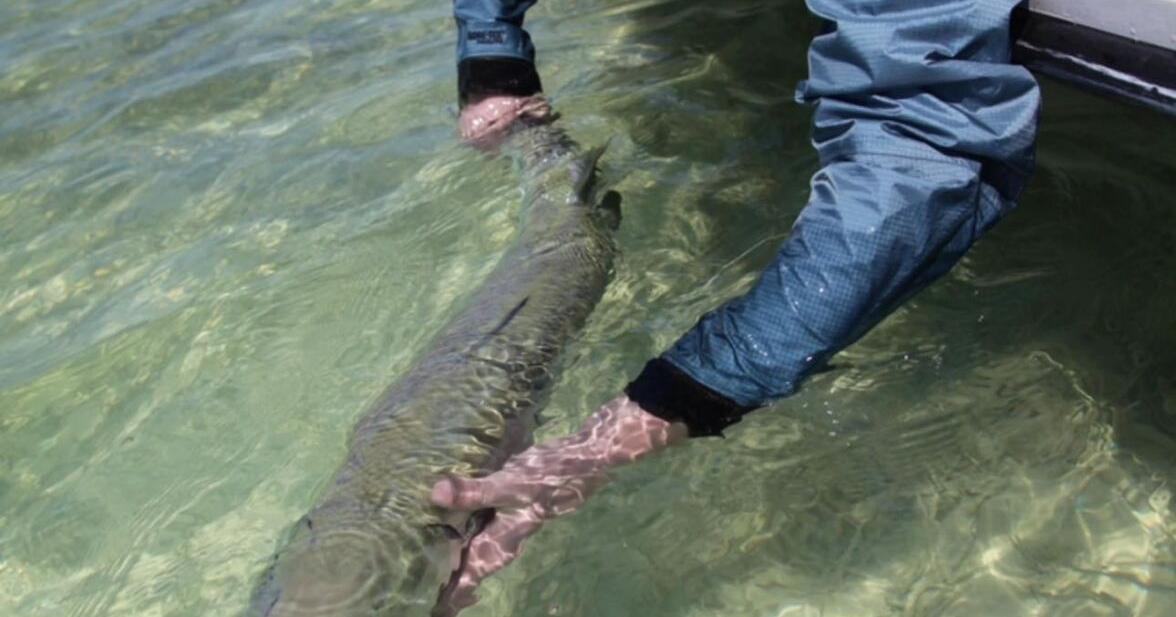 Lower Keys guides host Sugarloaf Showdown | Mile Markers | keysnews.com