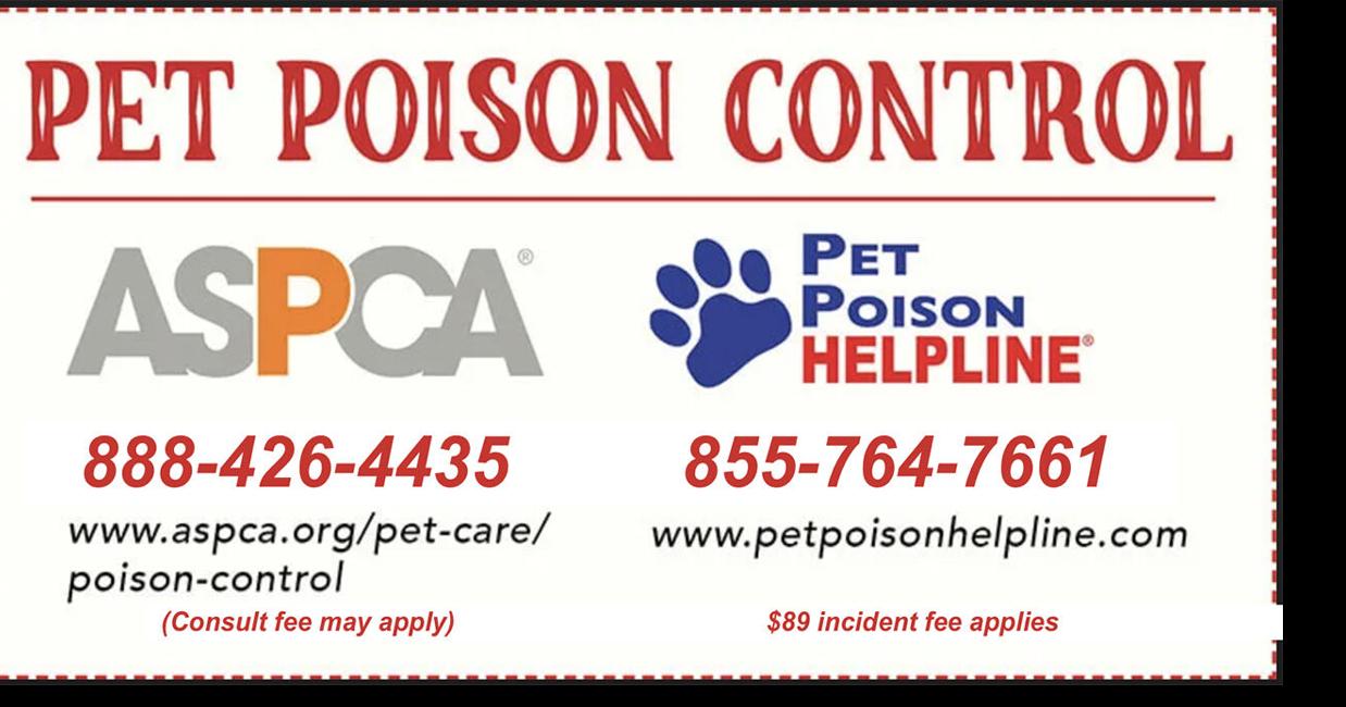 Pet Poison Prevention Awareness Month | Columns | keysnews.com