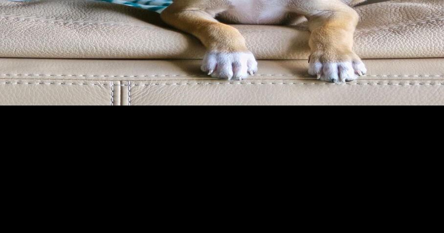 Maverick | | keysnews.com