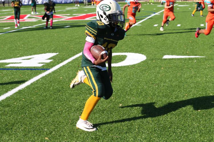 Seahawks, Packers, Gators end season with perfection | Club Sports ...