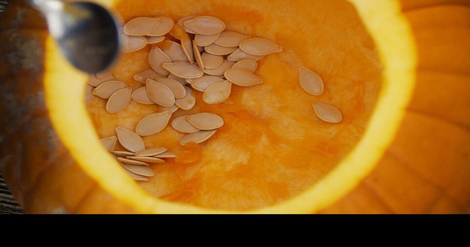 Pumpkin seeds | Columns | keysnews.com