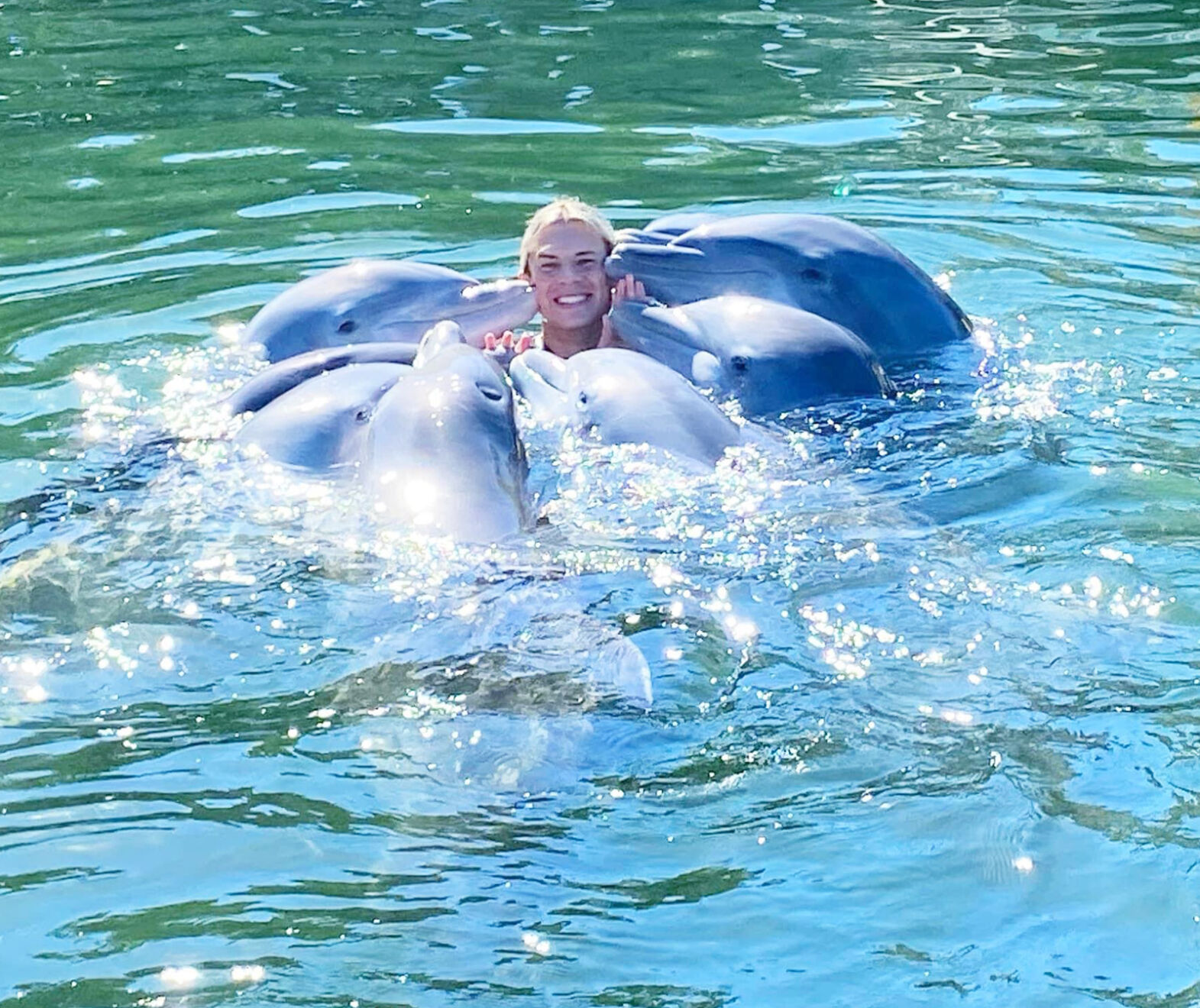 Island Dolphin Care reopens with new director | Local News | keysnews.com