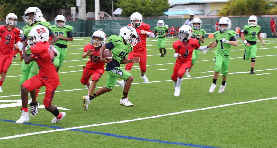 Seahawks, Packers, Gators end season with perfection | Club Sports ...