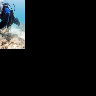 Coral restoration project at Eastern Dry Rocks awarded $5 million grant ...